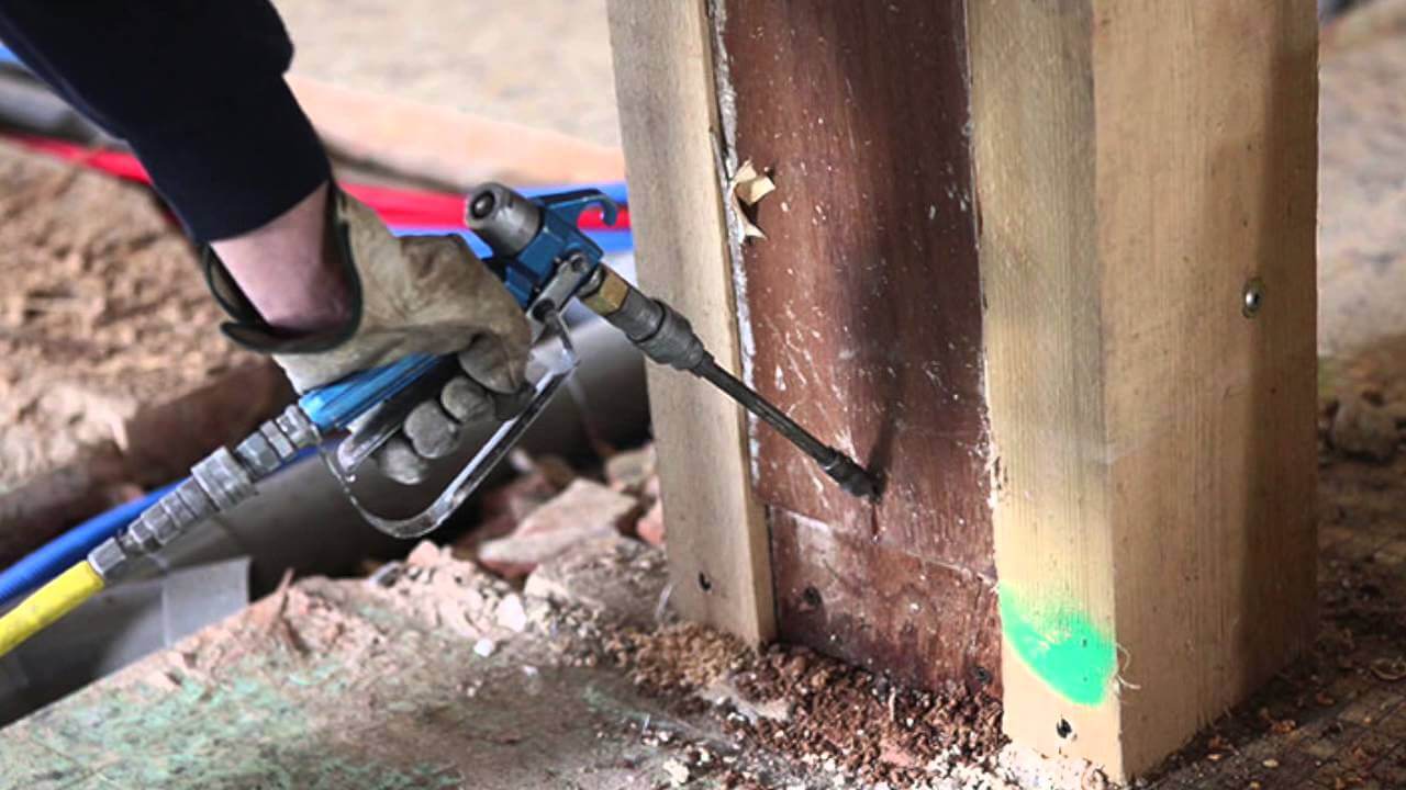 Access the Right Professional for Termite Treatment
