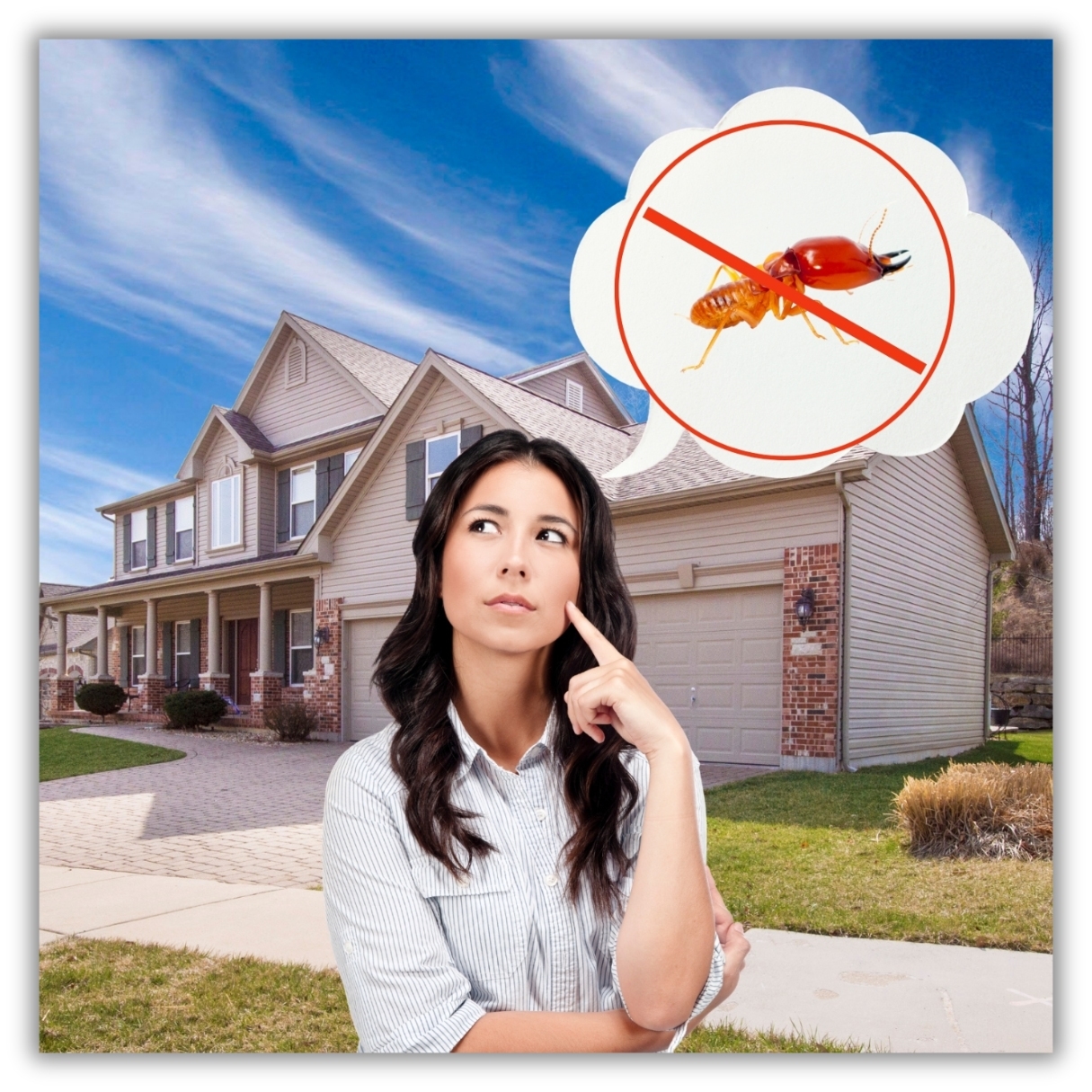 Do Termites Ever Go Away on Their Own - Truth Revealed